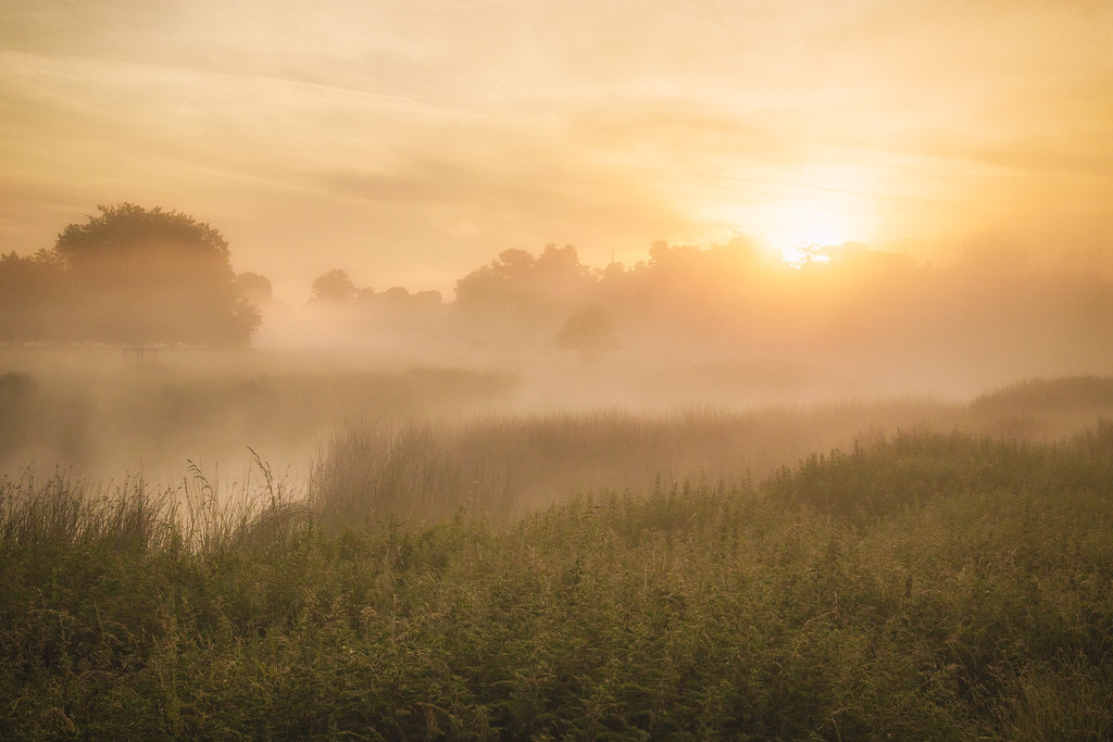 Waivered Fees - Radio Primco